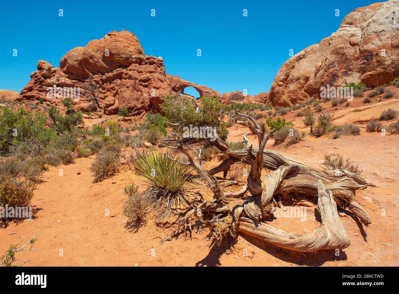 Downtown moab utah hi-res stock photography and images - Alamy