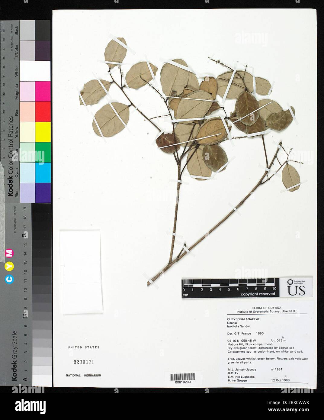 Sandwith hi-res stock photography and images - Alamy