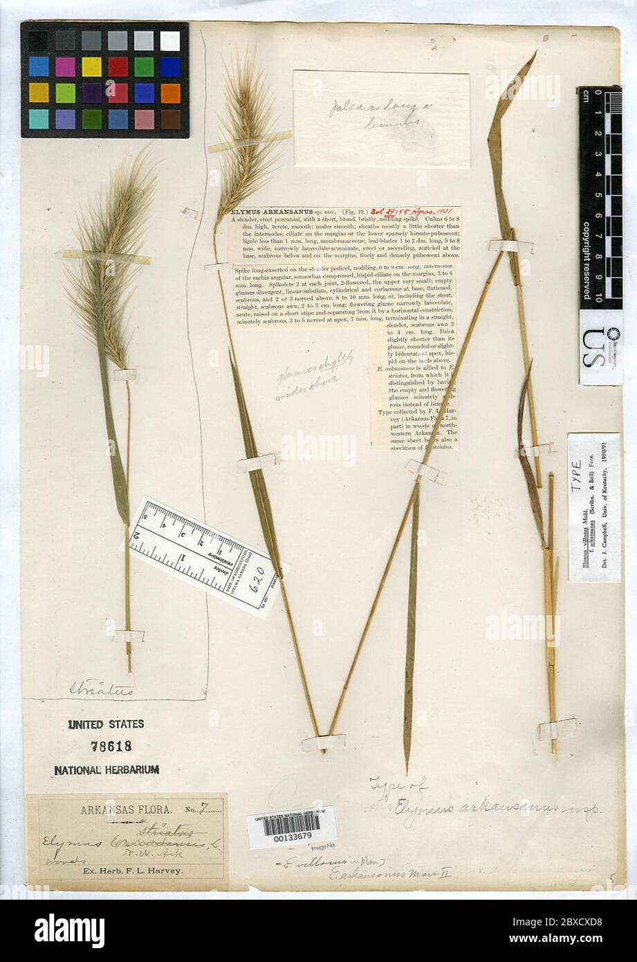 Scribn hi-res stock photography and images - Alamy