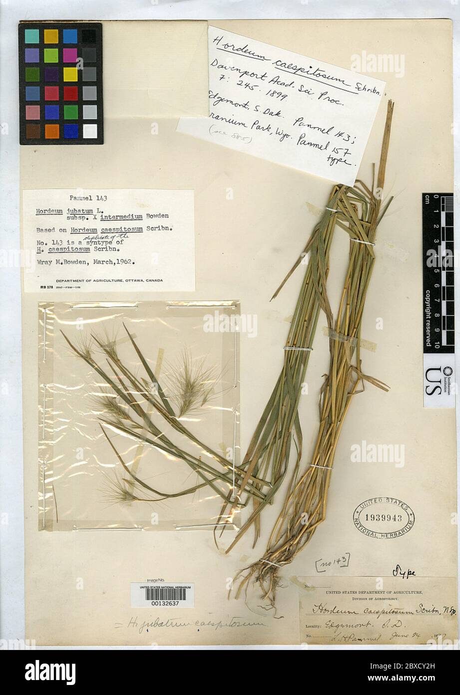 Scribn hi-res stock photography and images - Alamy