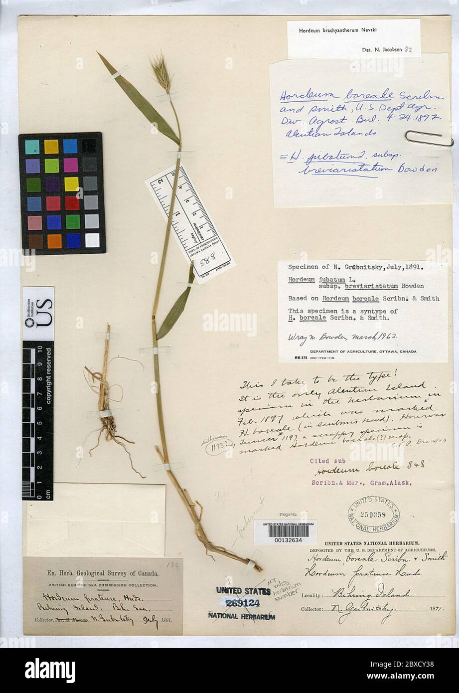 Scribn hi-res stock photography and images - Alamy