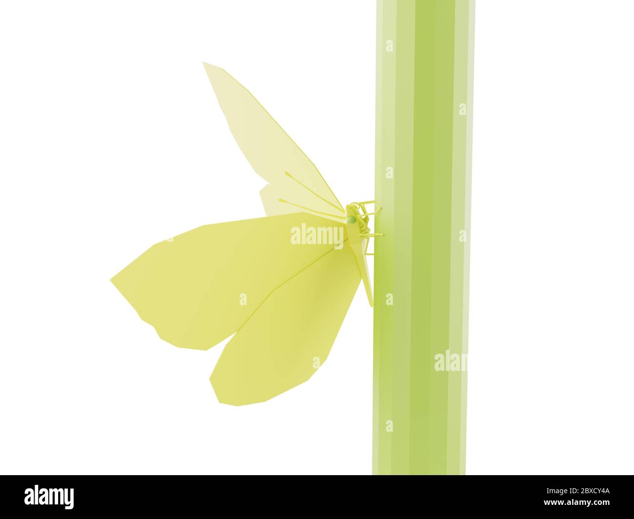 Butterfly polygonal low poly isolated on white background. Close-up ...
