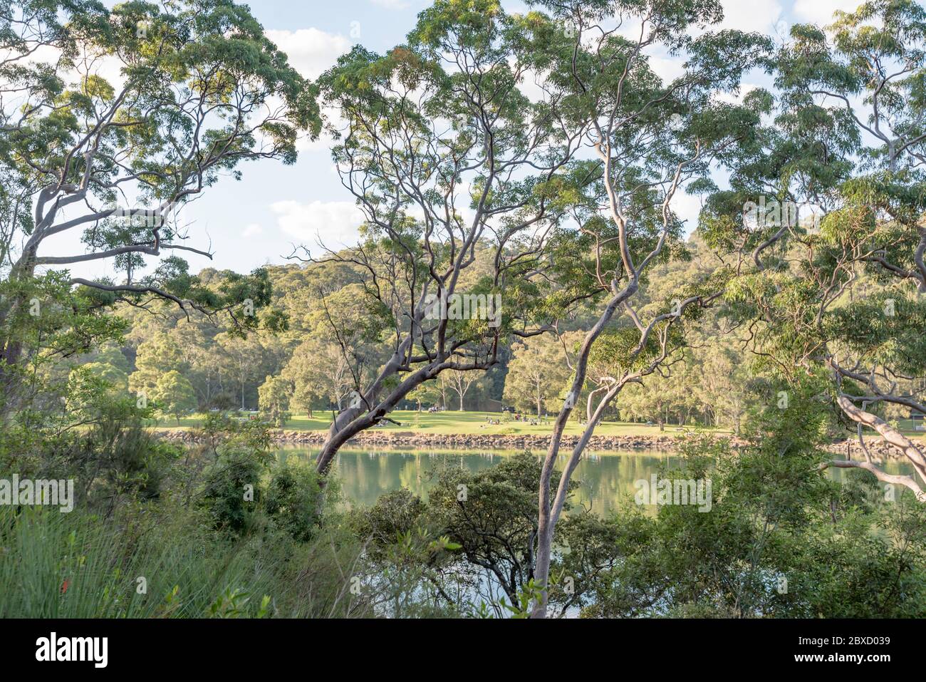 Davidson park in roseville hi-res stock photography and images - Alamy