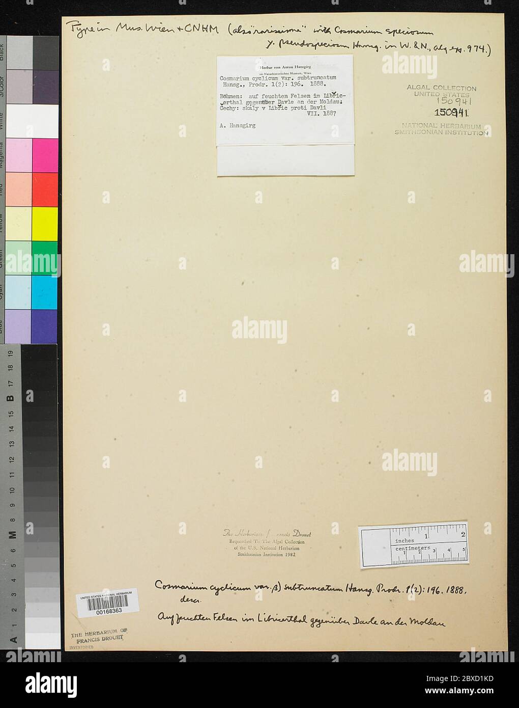 Cosmarium hi-res stock photography and images - Alamy