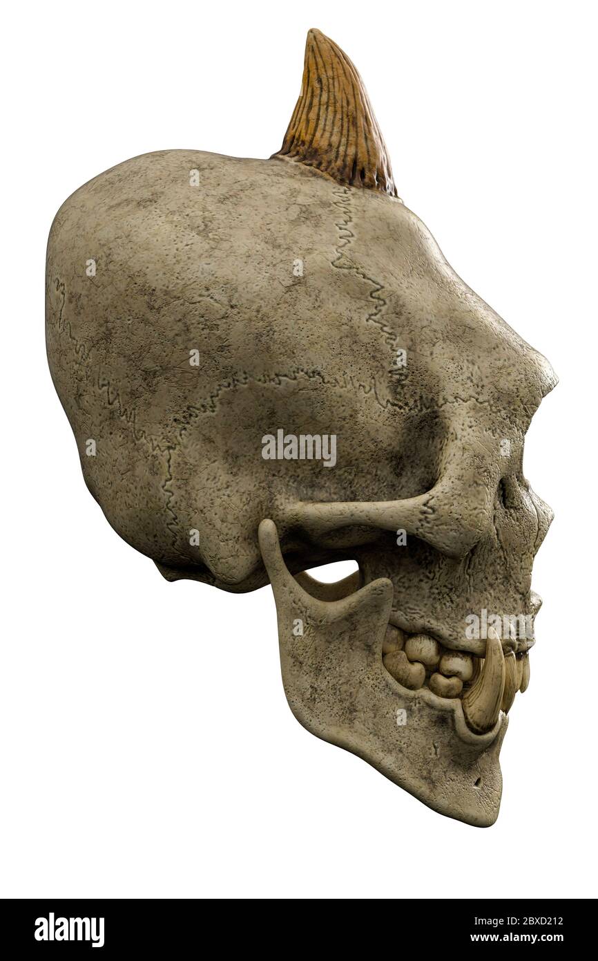 cyclops monster skull in a white background Stock Photo - Alamy