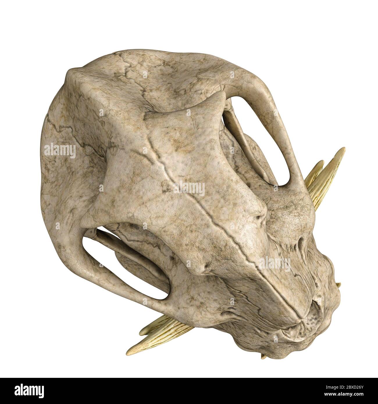 Tusker rock hi-res stock photography and images - Alamy