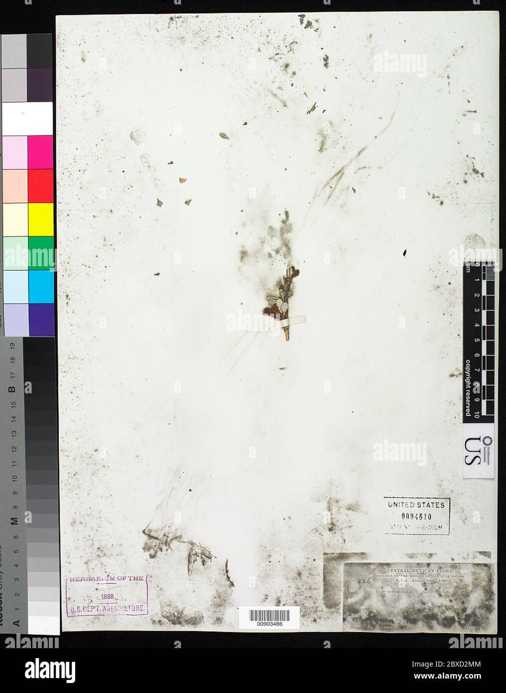 Cowania hi-res stock photography and images - Alamy