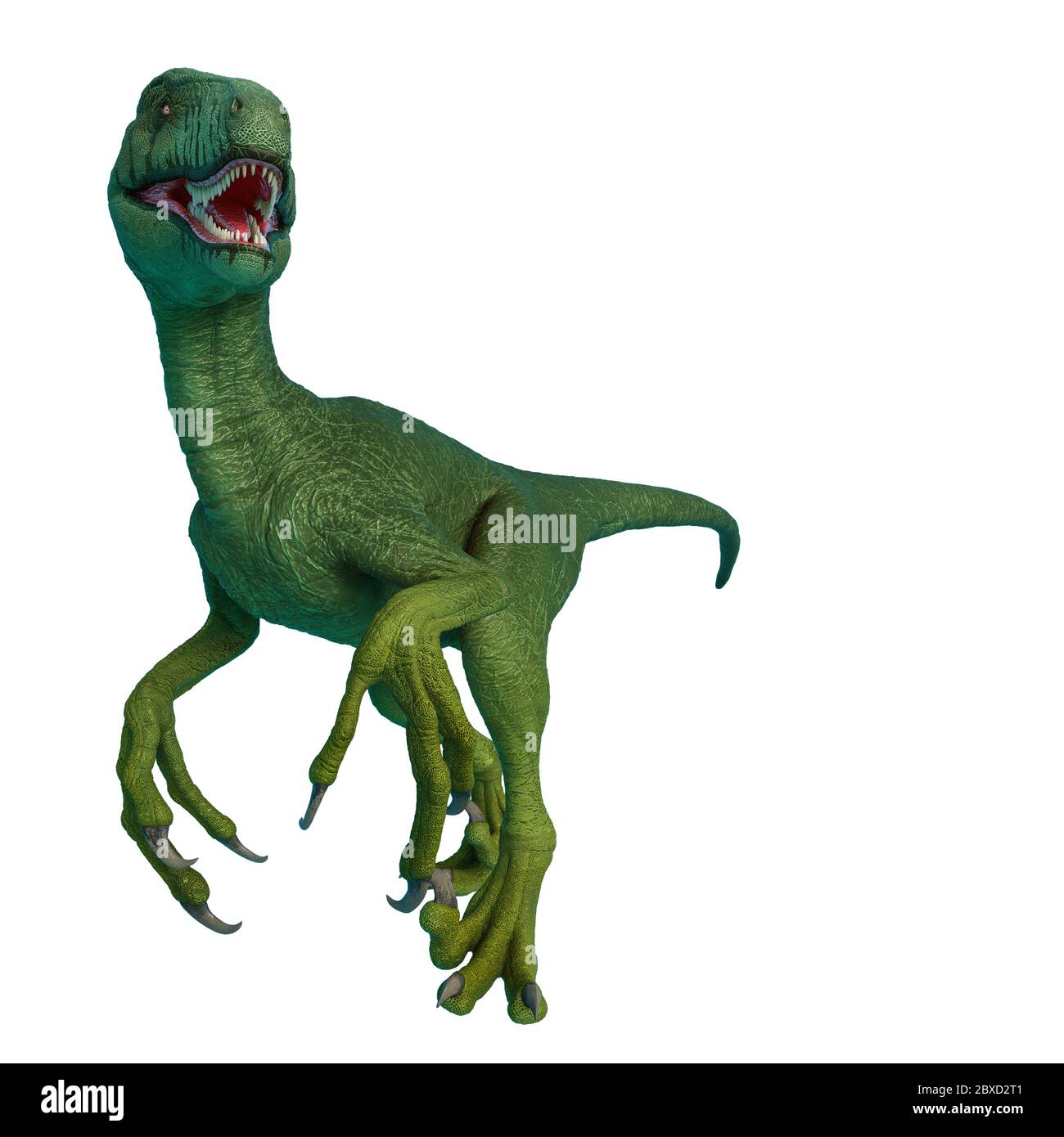 dakotaraptor standing on white background Stock Photo - Alamy
