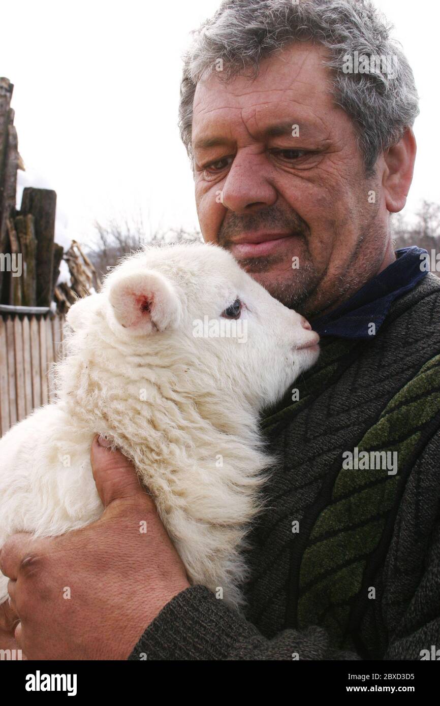 Lamb man hi-res stock photography and images - Alamy