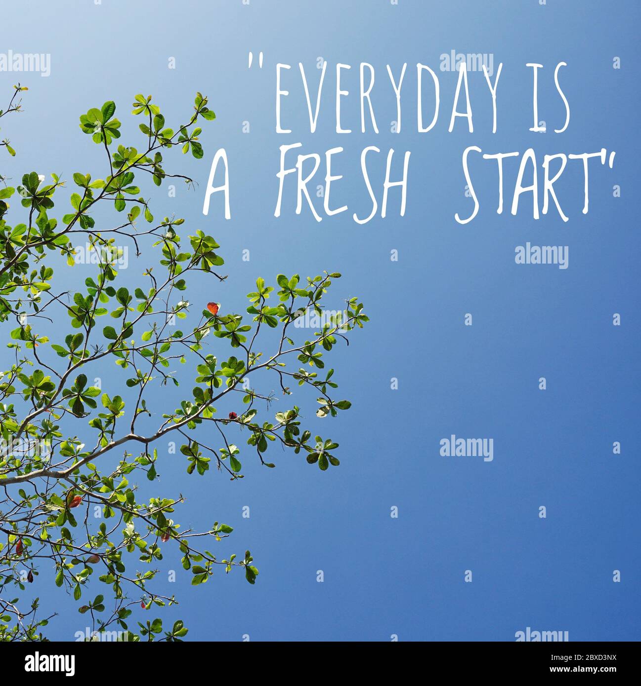 Inspirational motivating quotes on nature background Stock Photo - Alamy