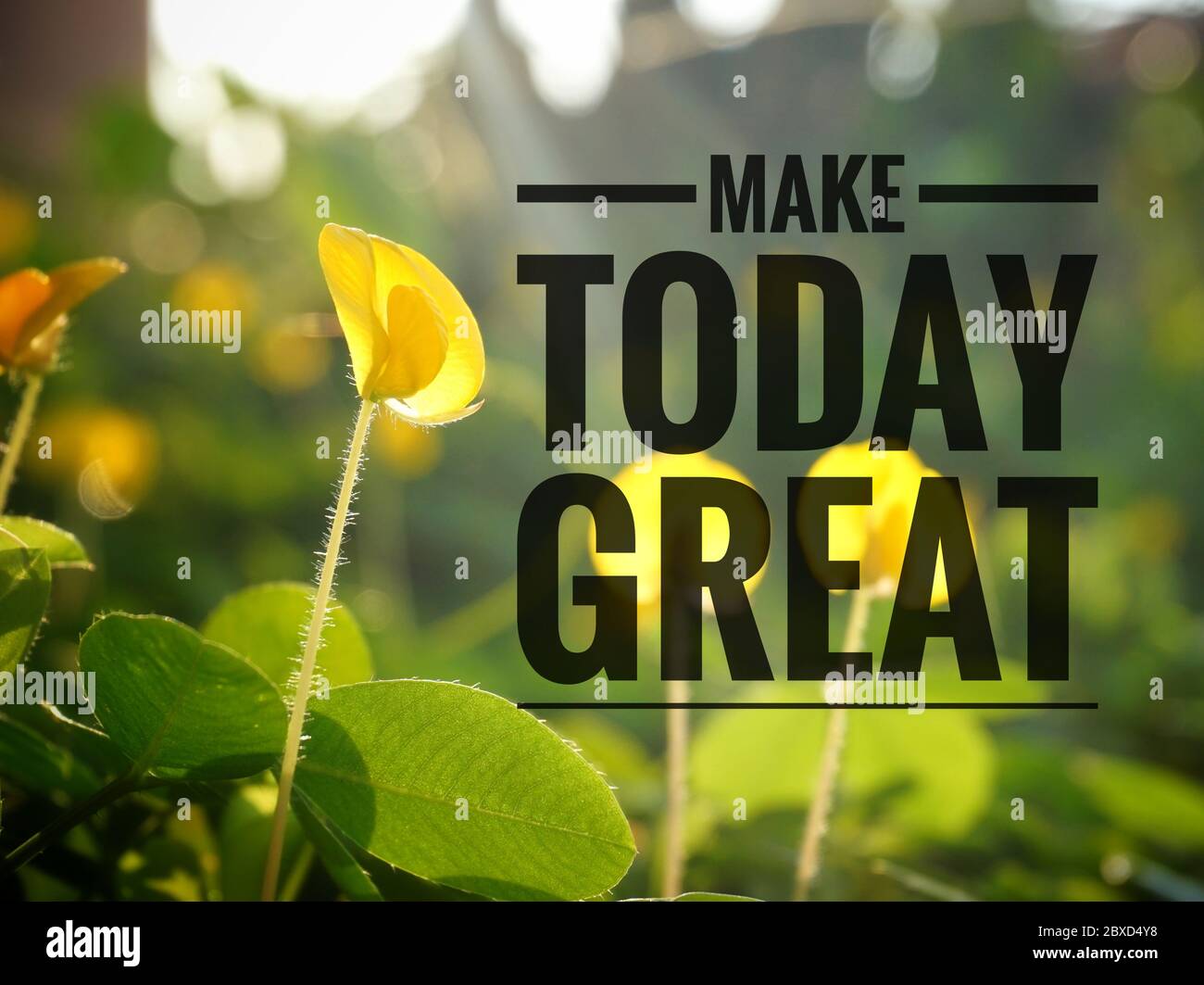 Inspirational motivating quotes on nature background Stock Photo - Alamy