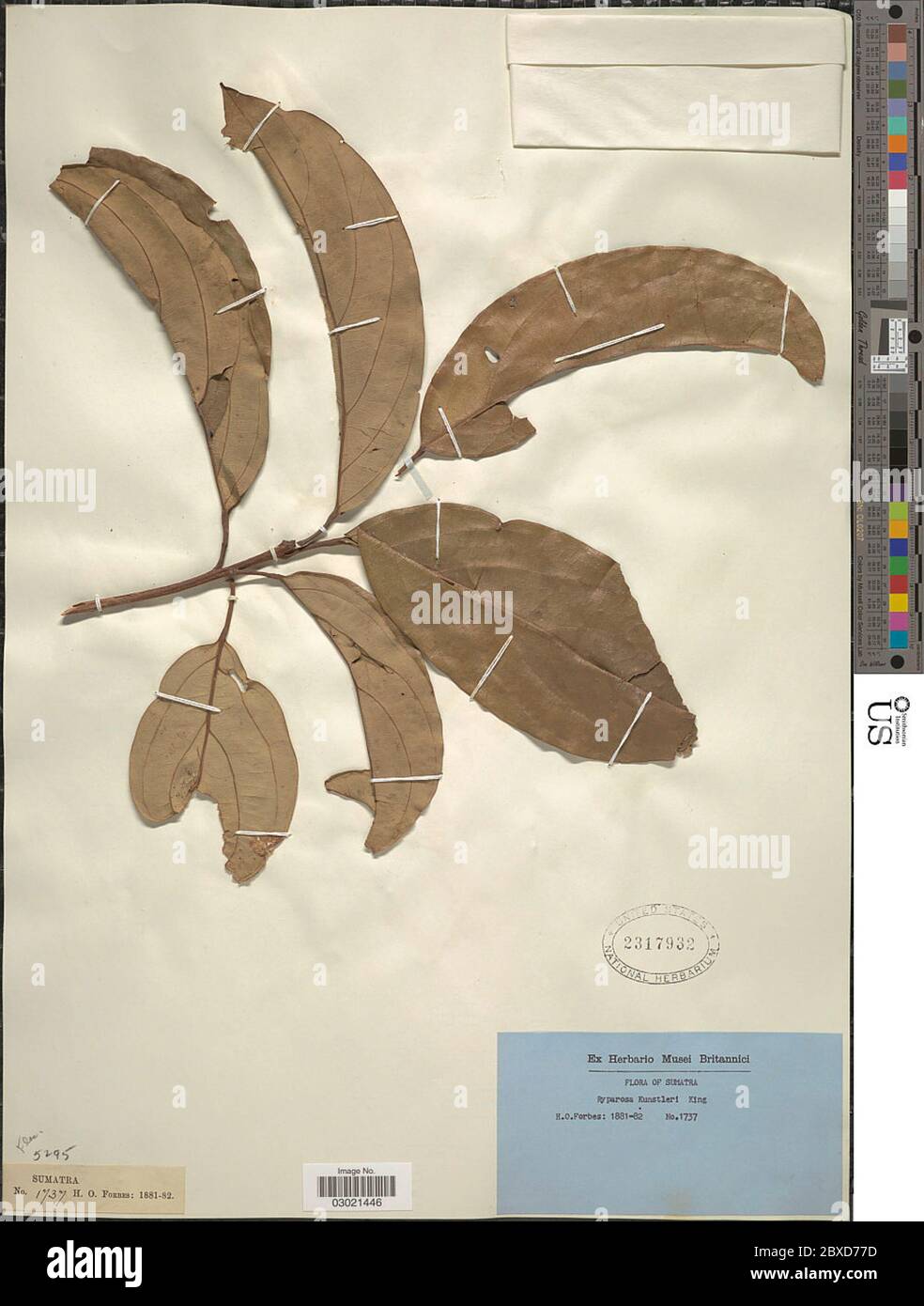 Kunstleri High Resolution Stock Photography and Images - Alamy