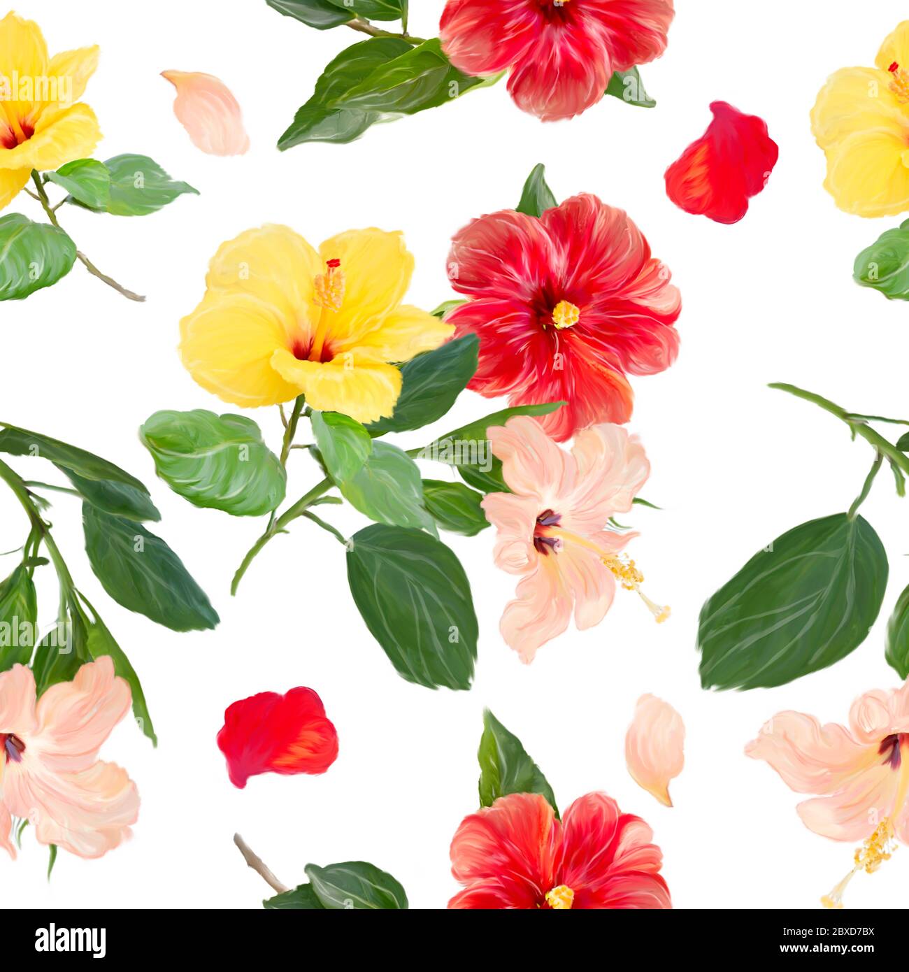 Hibiscus flowers Seamless Background. Floral Pattern on white Stock ...