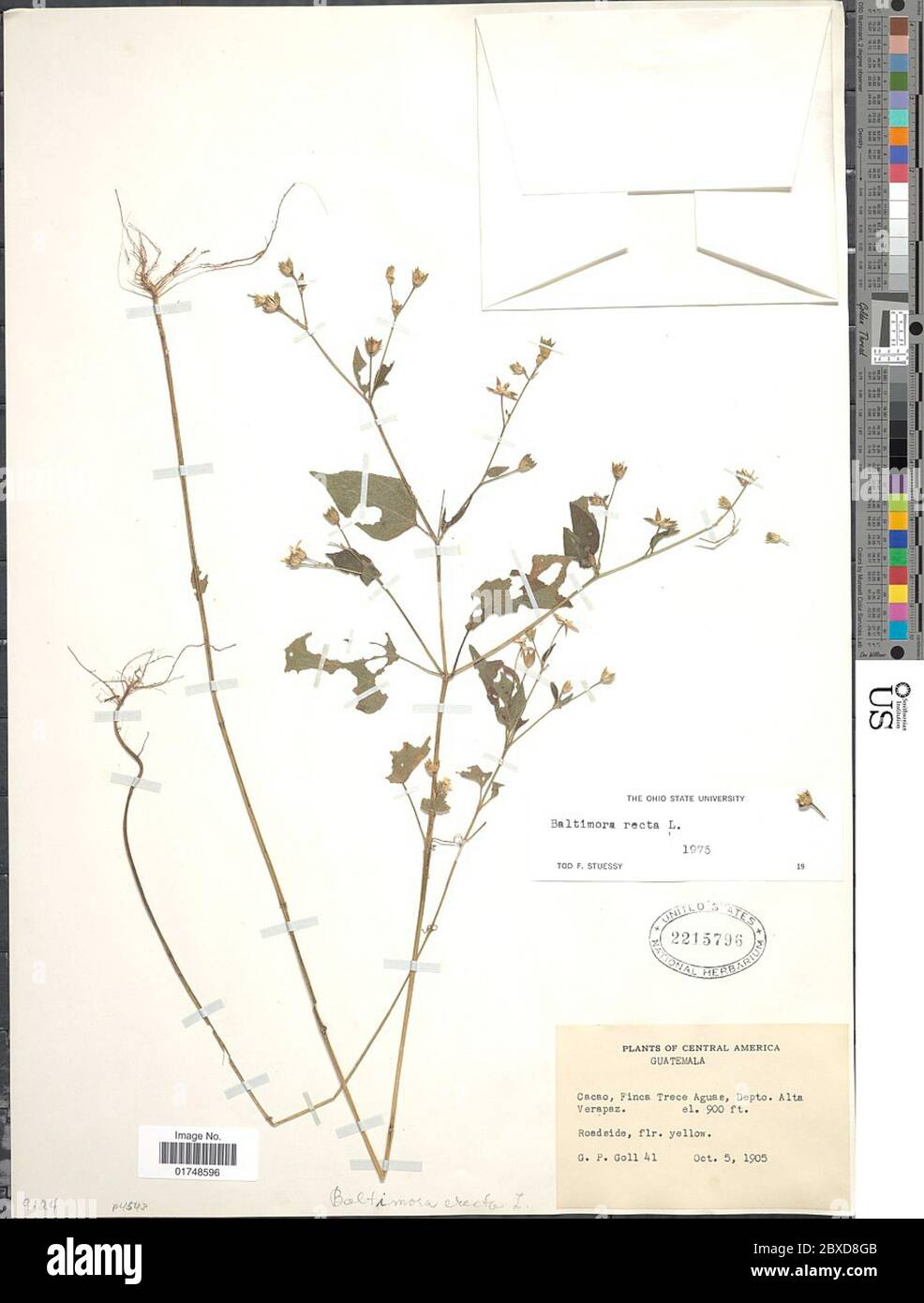 Baltimora hi-res stock photography and images - Alamy