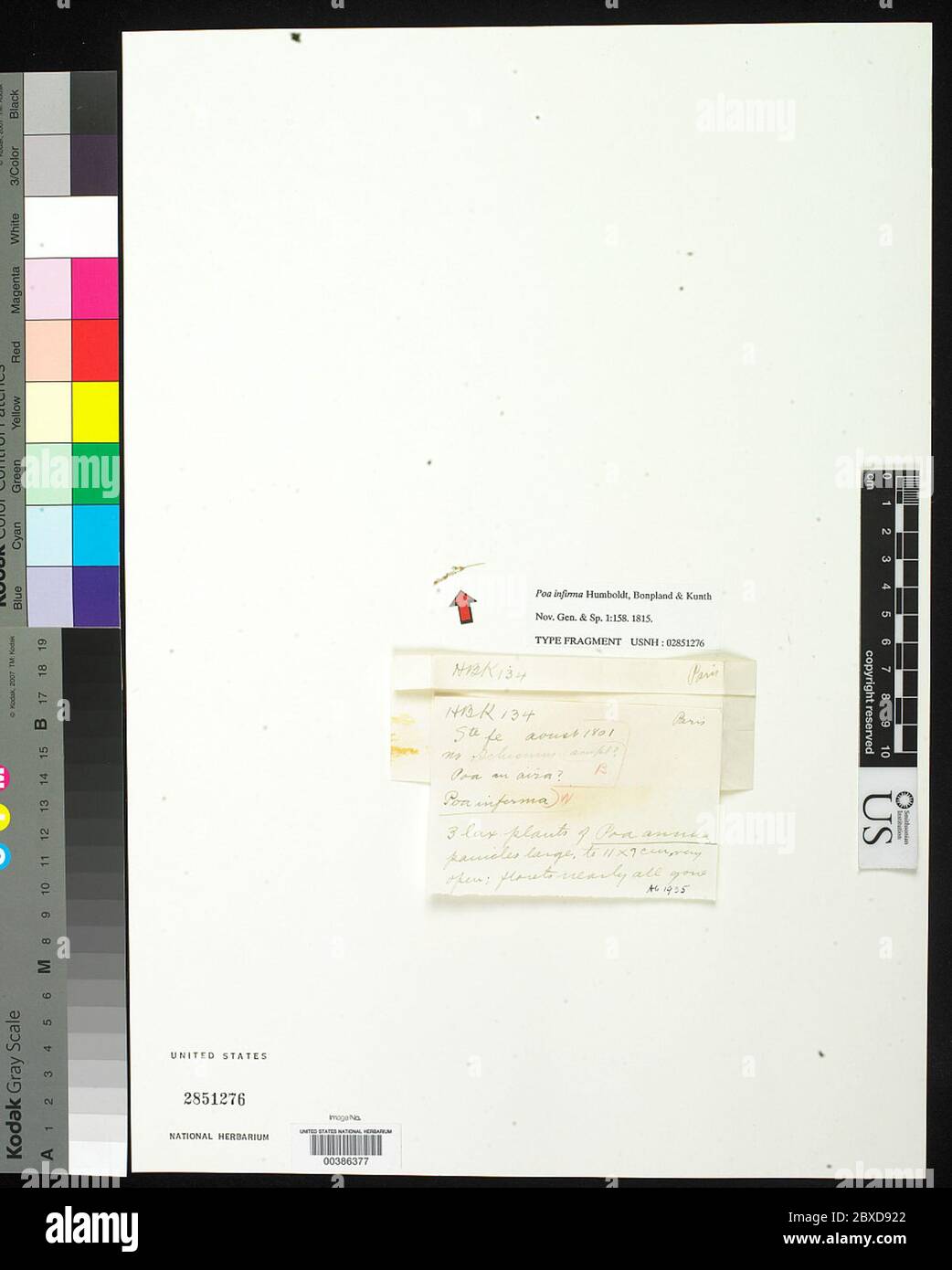 Infirma hi-res stock photography and images - Alamy