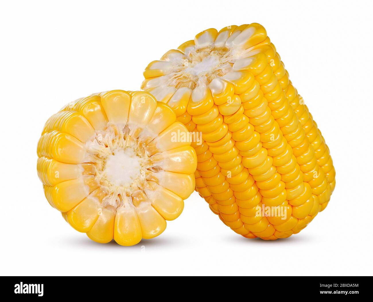 Corncob isolated on white background Stock Photo - Alamy