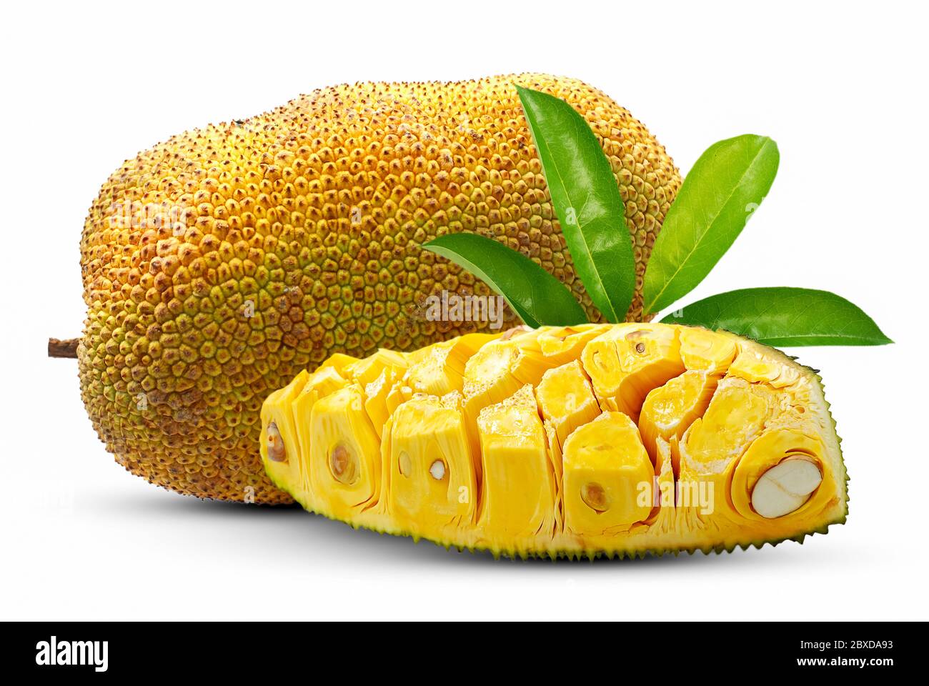 Sweet Jackfruit isolated on white background Stock Photo - Alamy