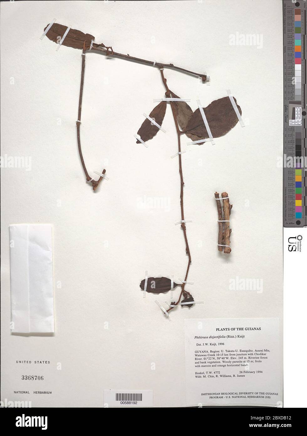 Rizzini hi-res stock photography and images - Alamy