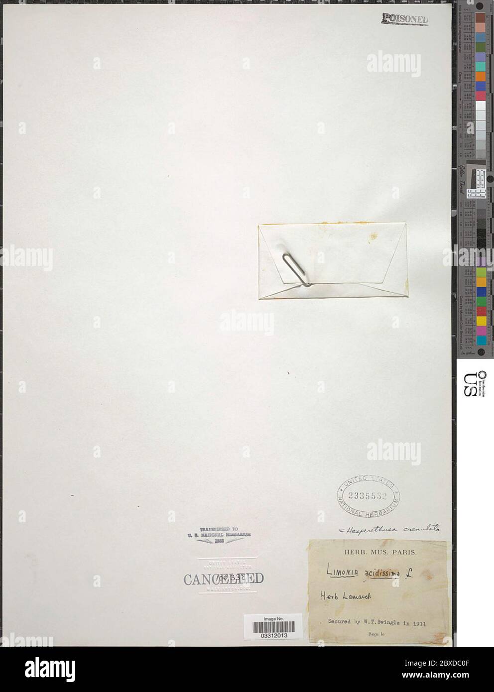 Naringi hi-res stock photography and images - Alamy