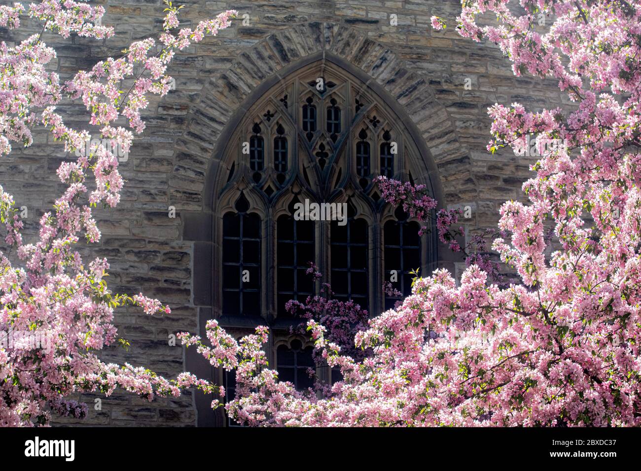 colorful flowers around ancient arched window of old stine building ...