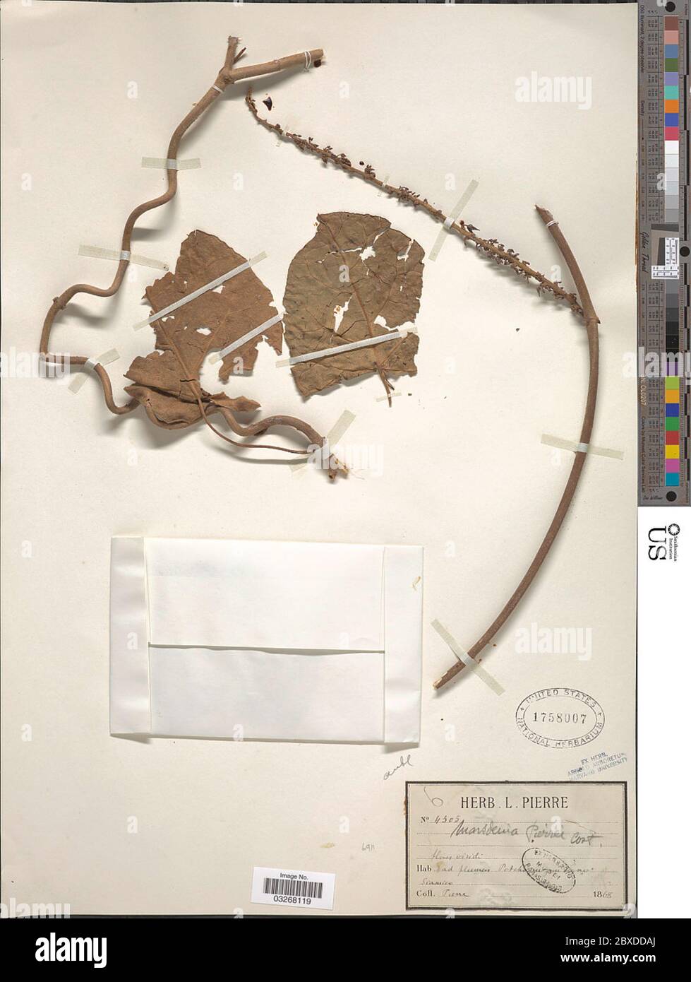 Costantin hi-res stock photography and images - Alamy