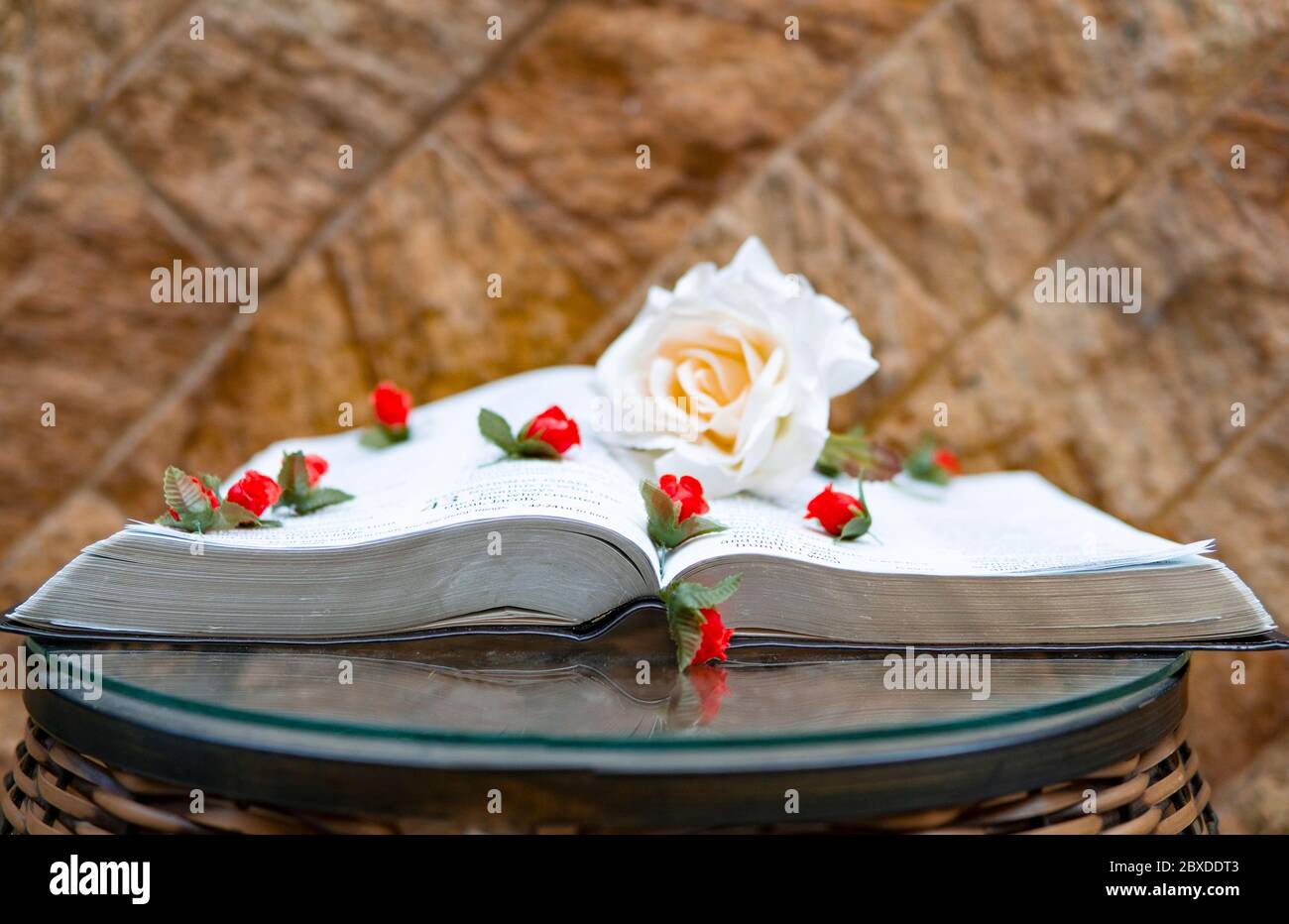 Beautiful Rose On Holy Bible In Elegant Setting With Flower Buds Stock ...