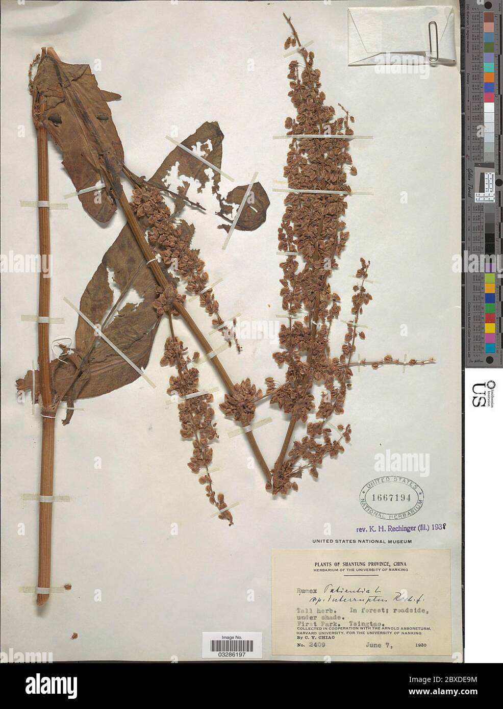 Patientia High Resolution Stock Photography and Images - Alamy