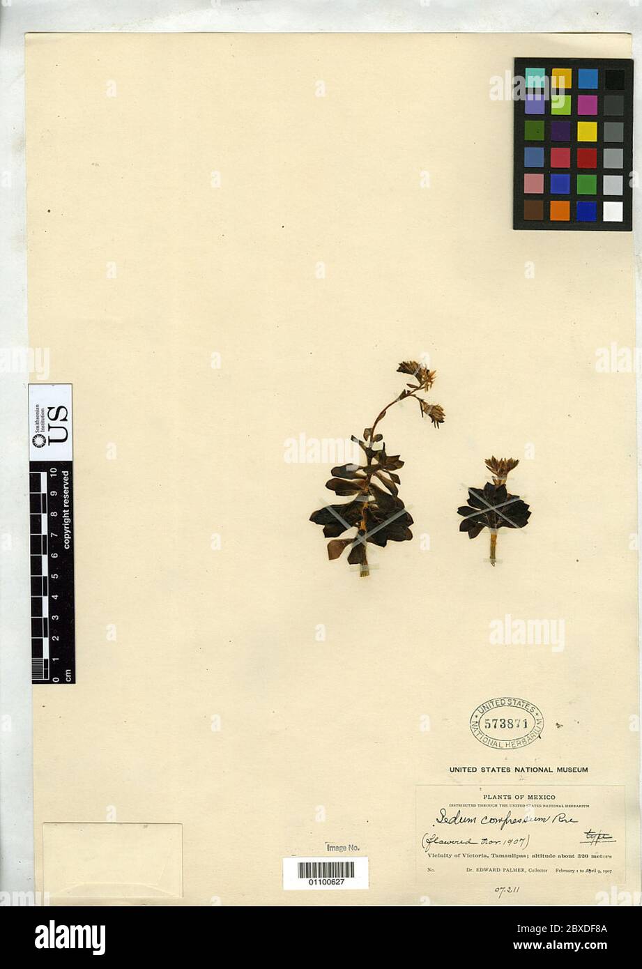 Compressum High Resolution Stock Photography and Images - Alamy