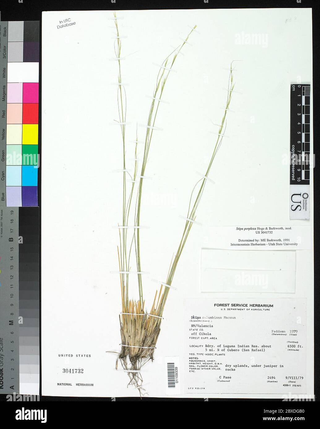 Perplexa hi-res stock photography and images - Alamy