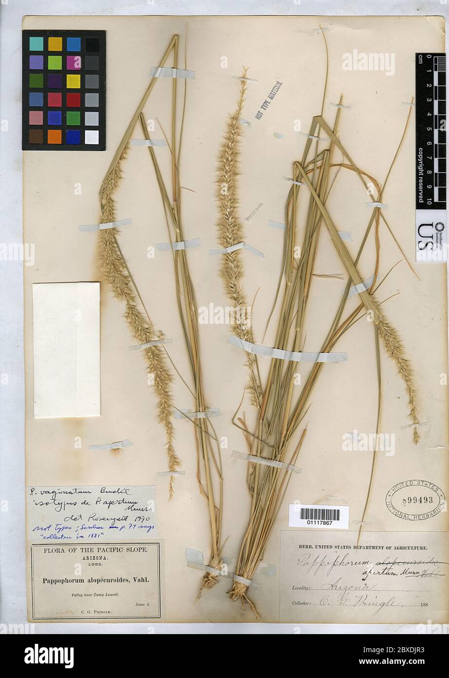 Scribn hi-res stock photography and images - Alamy