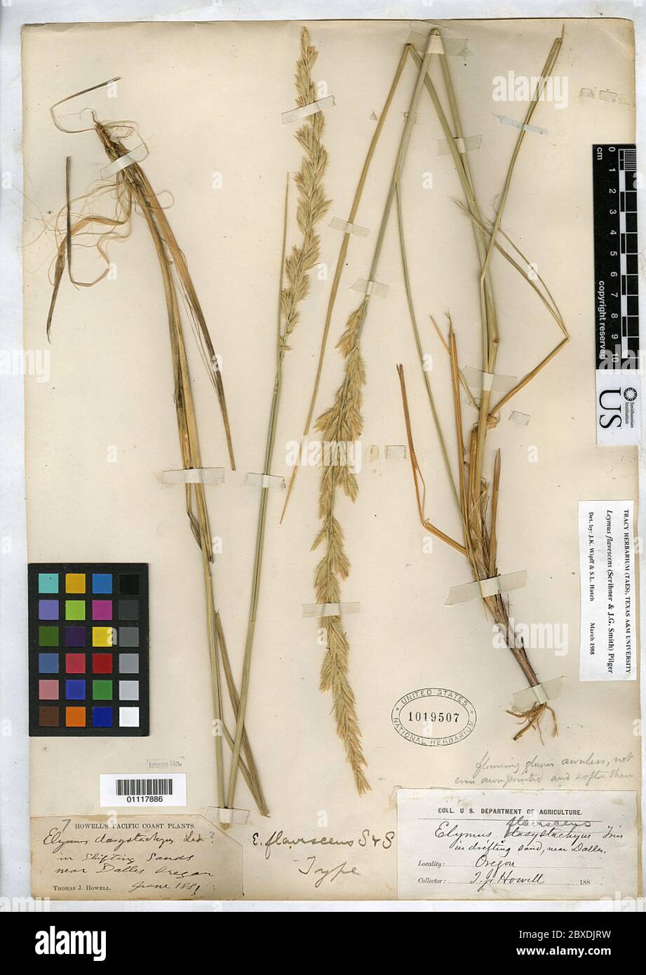 Scribn hi-res stock photography and images - Alamy