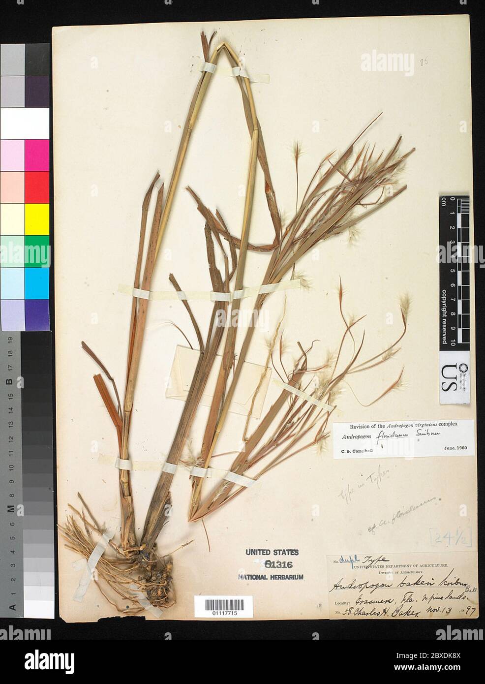 Scribn hi-res stock photography and images - Alamy