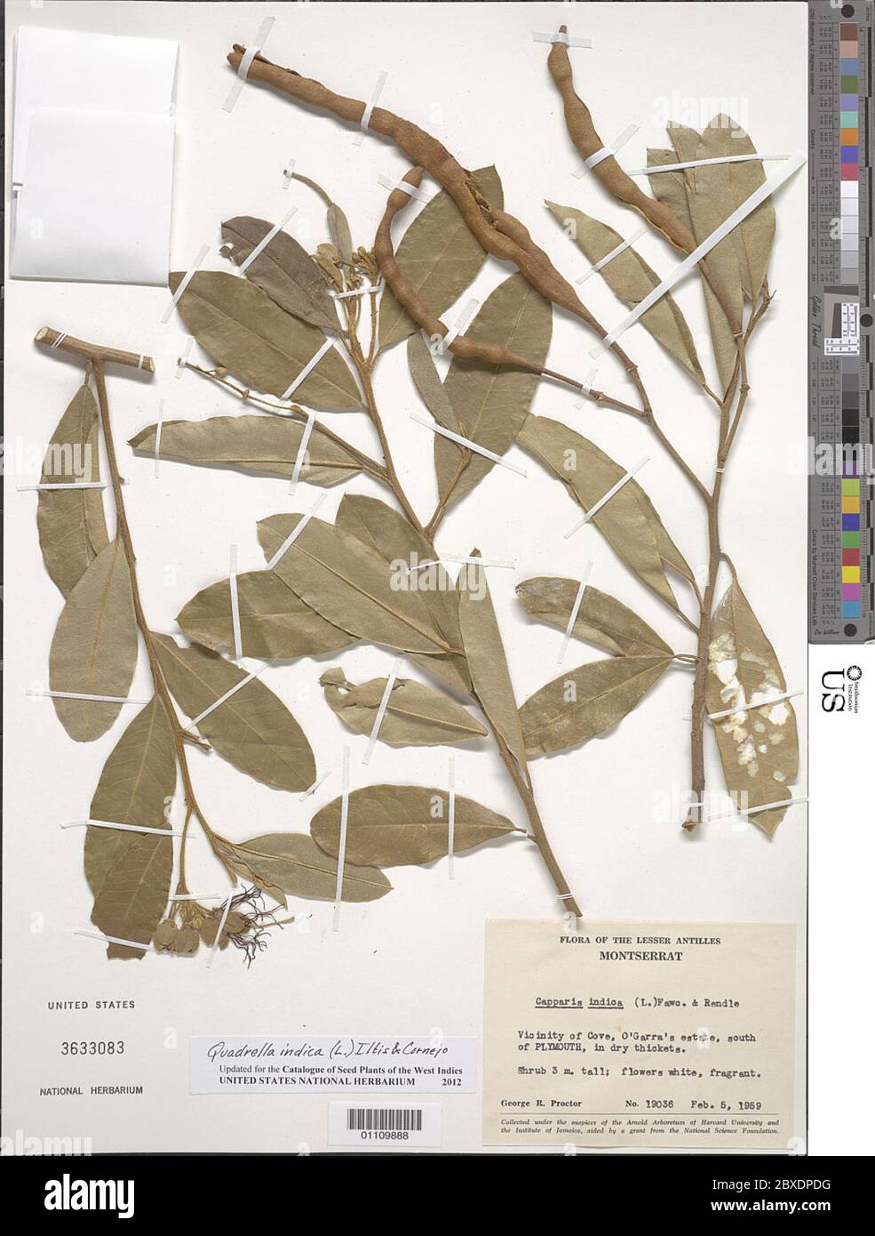 Quadrella High Resolution Stock Photography and Images - Alamy