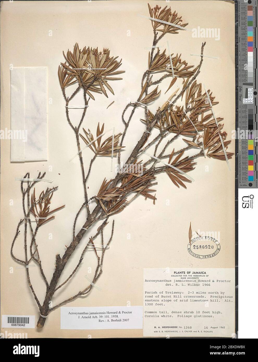 Howard proctor hi-res stock photography and images - Alamy