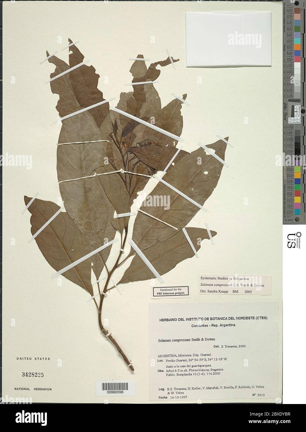 Compressum hi-res stock photography and images - Alamy