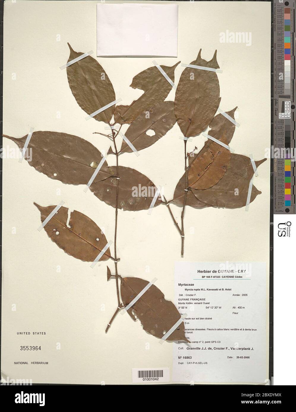 Kawas hi-res stock photography and images - Alamy