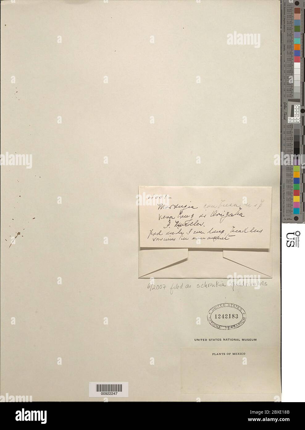 Schrankia hi-res stock photography and images - Alamy