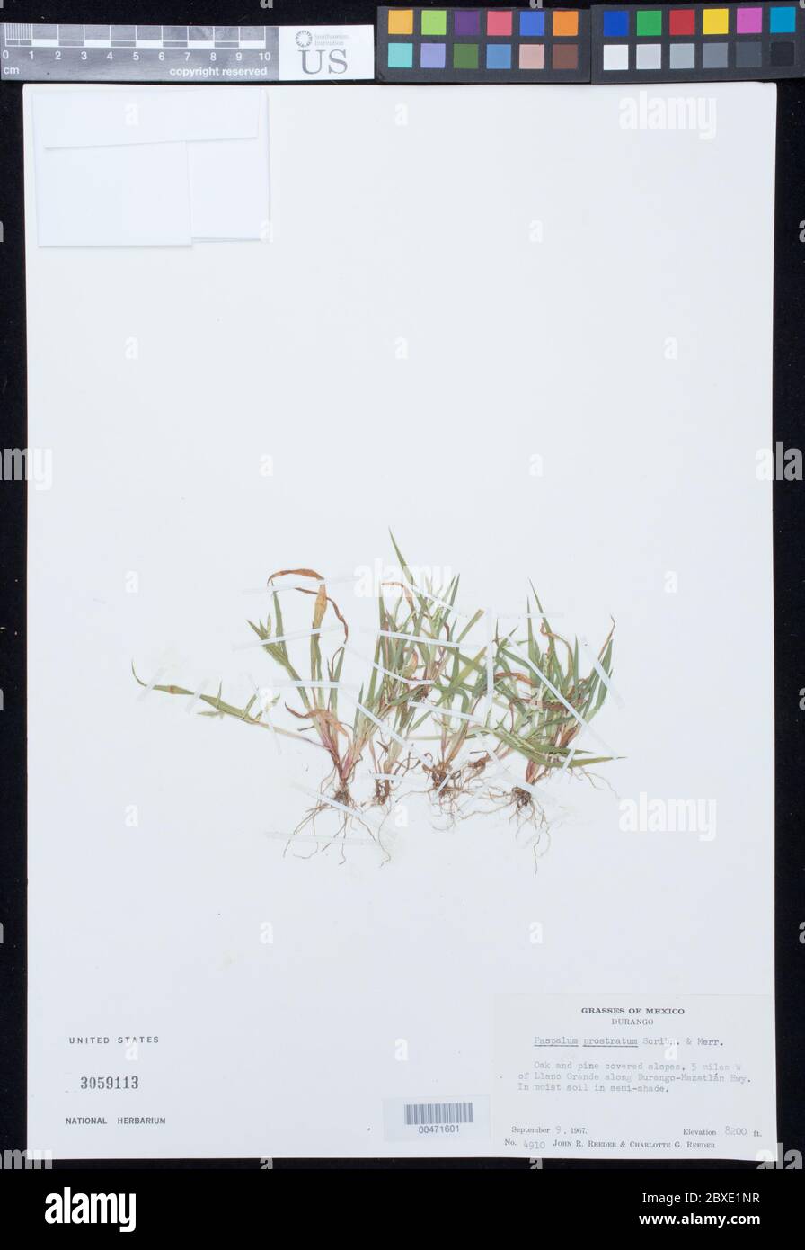 Scribn hi-res stock photography and images - Alamy