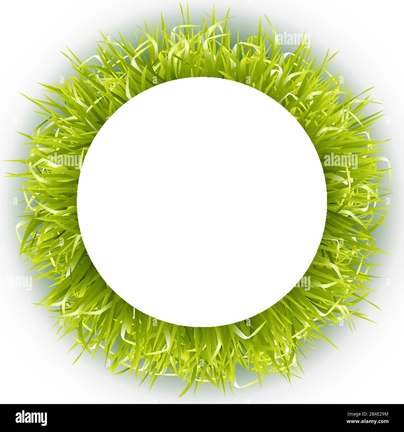 Frame of green succulent grass. Natural 3D grass. Preparation for cards ...