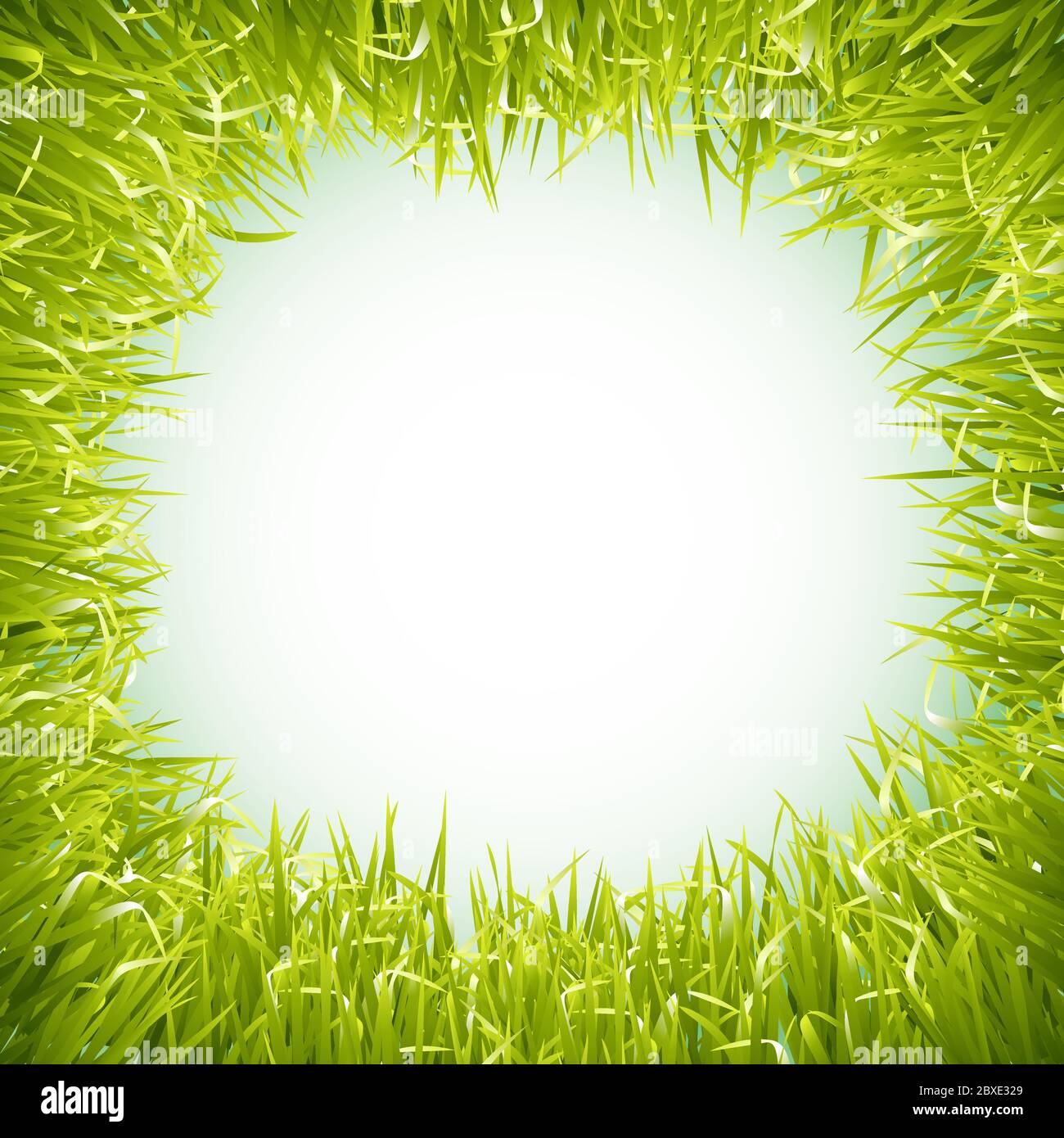 Grassland flora Stock Vector Images - Alamy