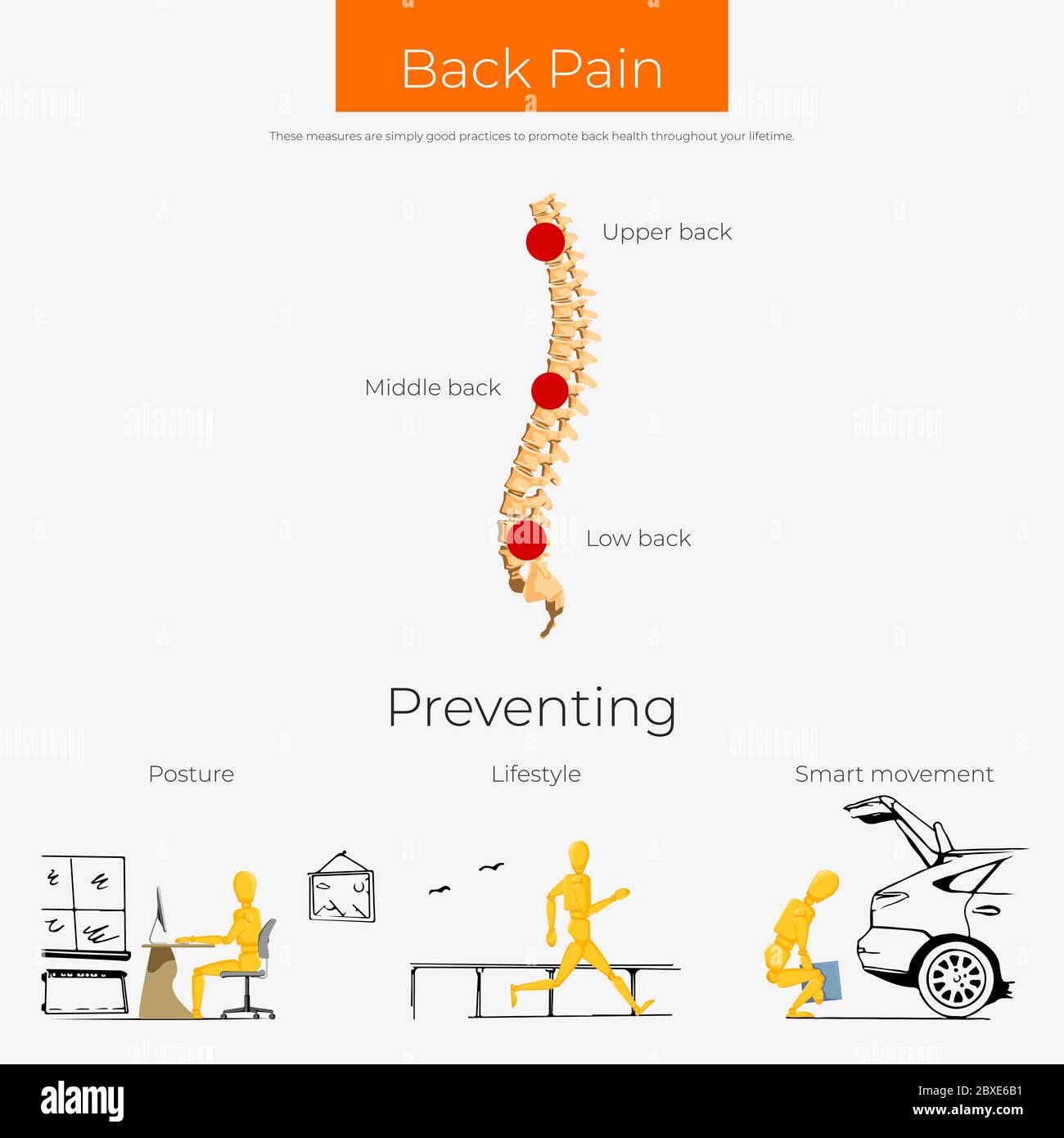 Good practices to promote back health throughout your lifetime Stock ...