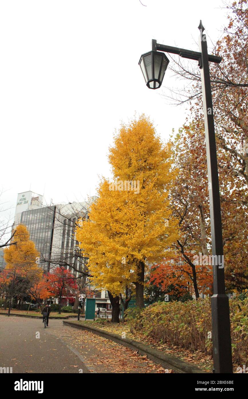 Japan nipon hi-res stock photography and images - Alamy
