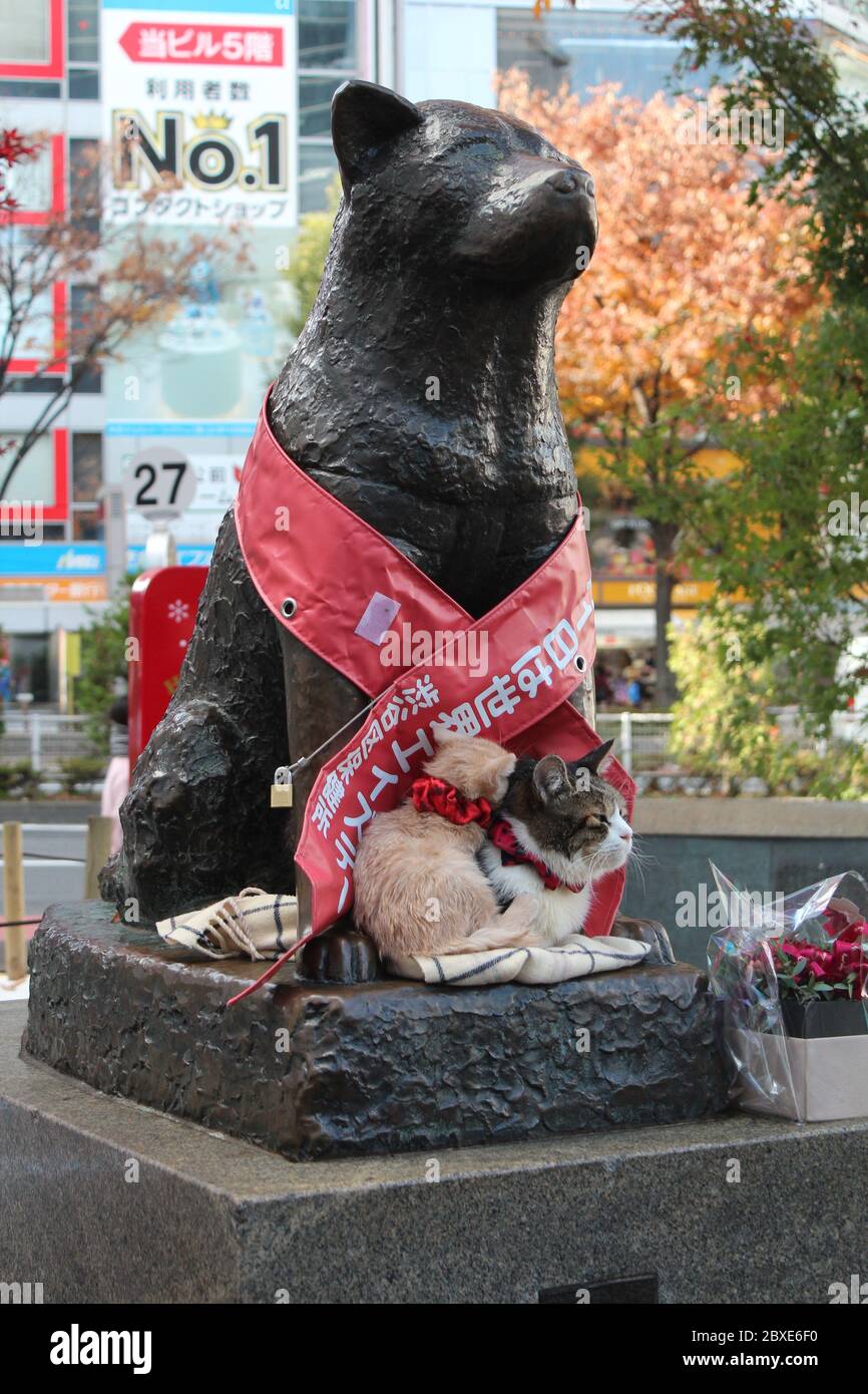 Hachiko statue hi-res stock photography and images - Alamy