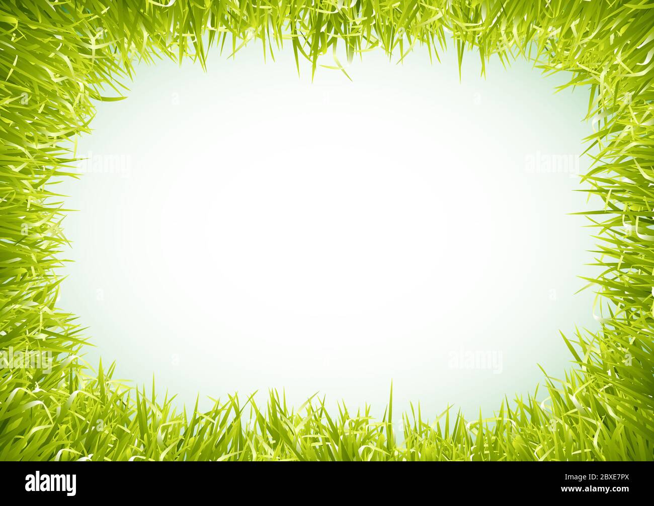 Frame of green succulent grass. Natural 3D grass. Preparation for cards ...