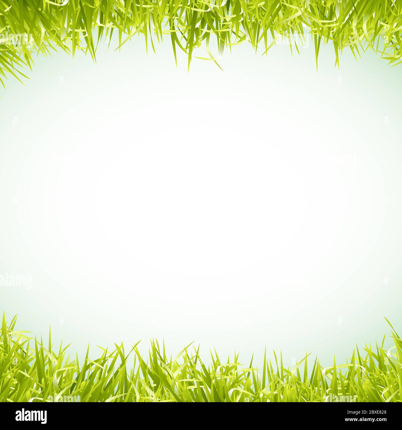 Frame of green succulent grass. Natural 3D grass. Preparation for cards ...