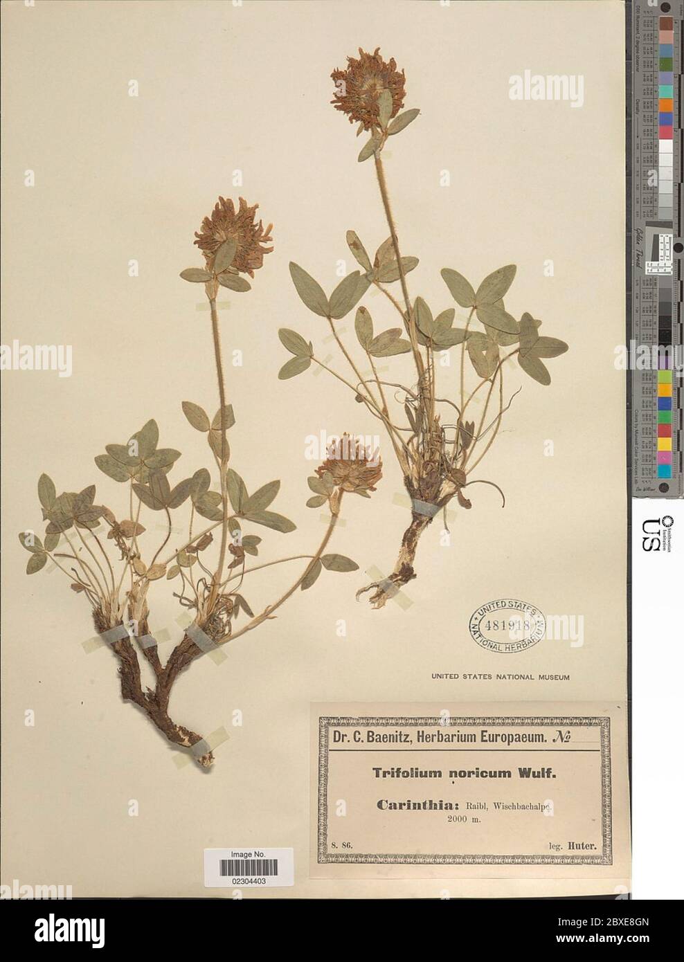 Noricum hi-res stock photography and images - Alamy