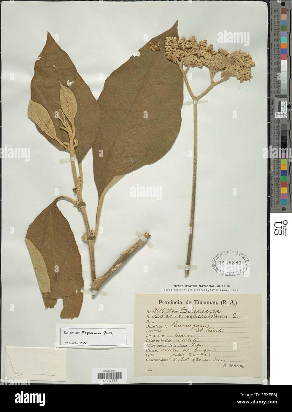 Riparium hi-res stock photography and images - Alamy