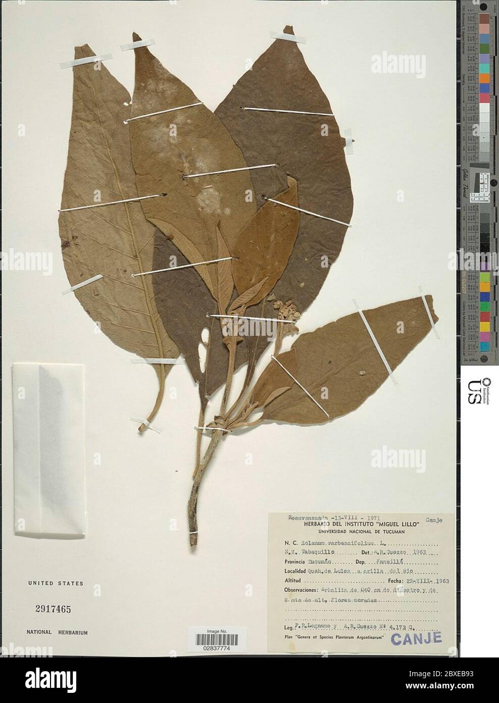 The riparium hi-res stock photography and images - Alamy