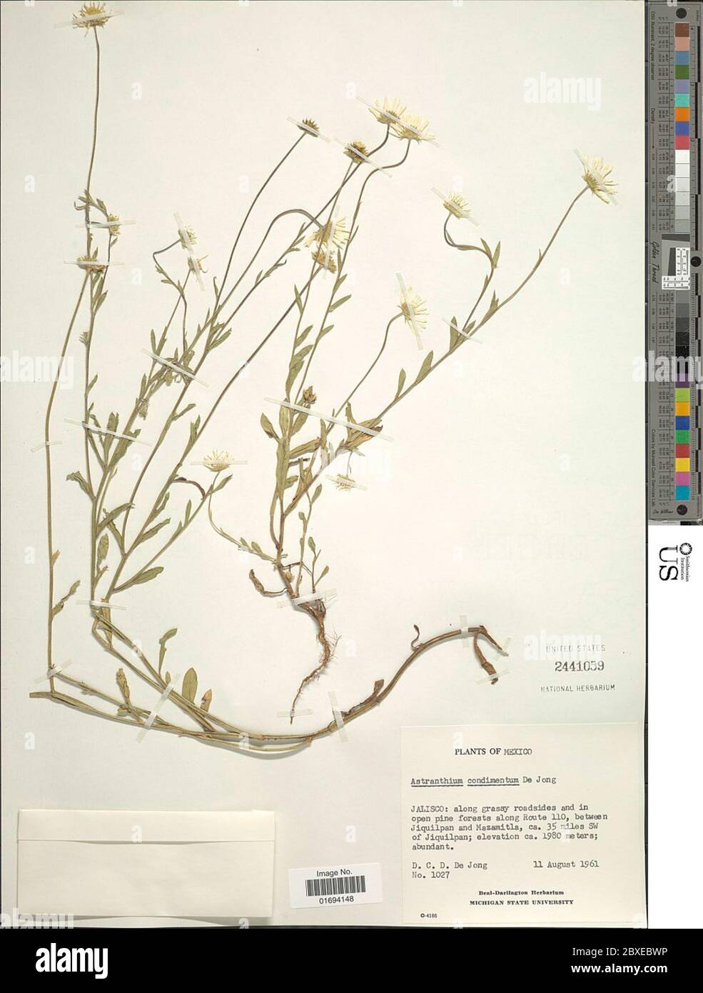 Condimentum hi-res stock photography and images - Alamy