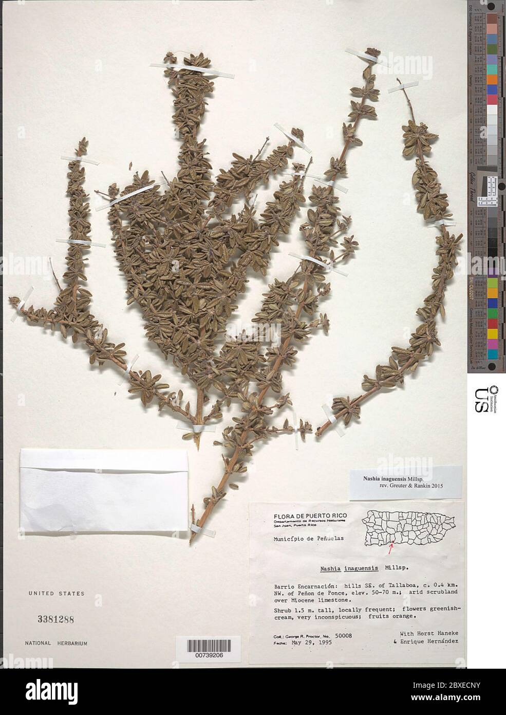 Inaguensis hi-res stock photography and images - Alamy